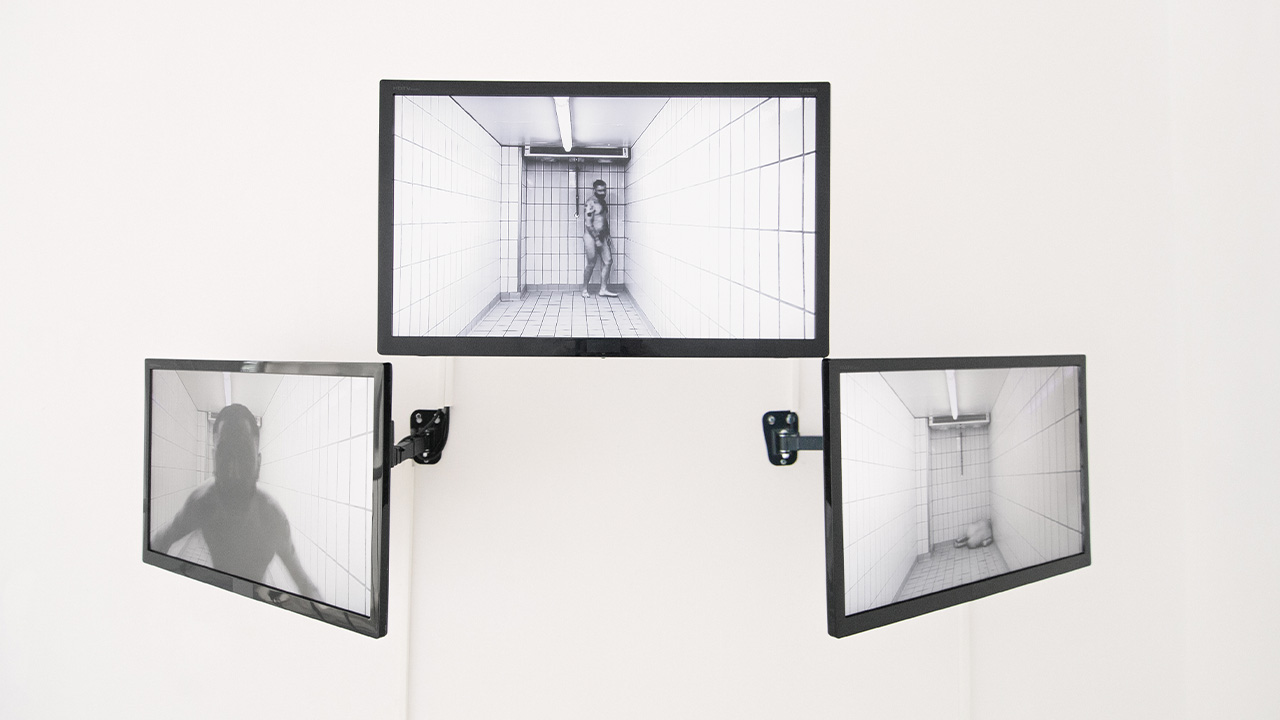 Editions and Exhibitions | Blake & Vargas